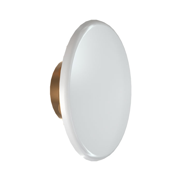 Viking® Freedom 16207 Label 16209 Horizontal Sidewall Concealed Fire S ...
