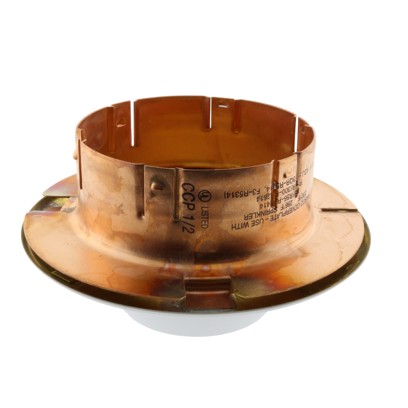 RASCO/Reliable Model CCP Domed Concealed Fire Sprinkler Escutcheon, CC ...